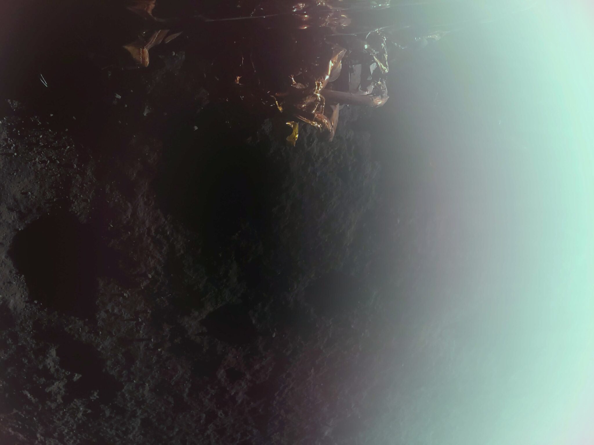 Firefly Aerospace Awarded Launch Agreement for the U.S. Space Force VICTUS SOL Tactically ...